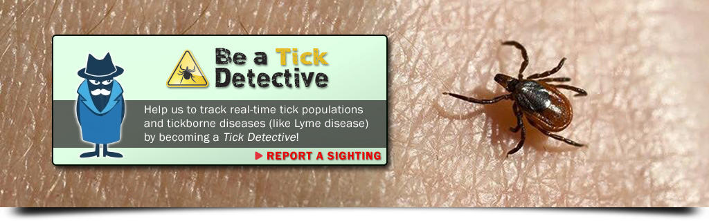 Tick Safety - Identification - Lyme Disease - Information