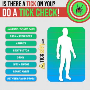 How to do a Tick Check • Tick Prevention | TickSafety.com