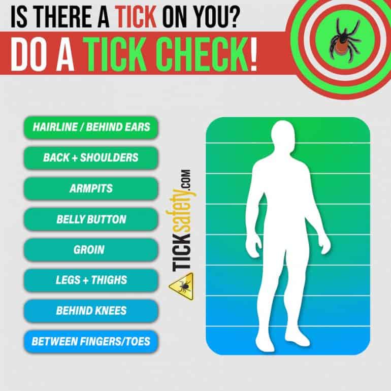 How to do a Tick Check • Tick Prevention | TickSafety.com