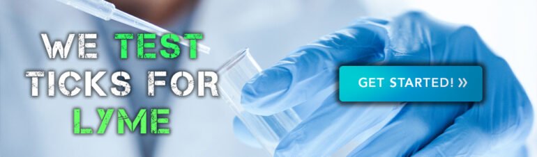 FREE Tick Identification | Submit Anytime 24/7 • Tick Safety